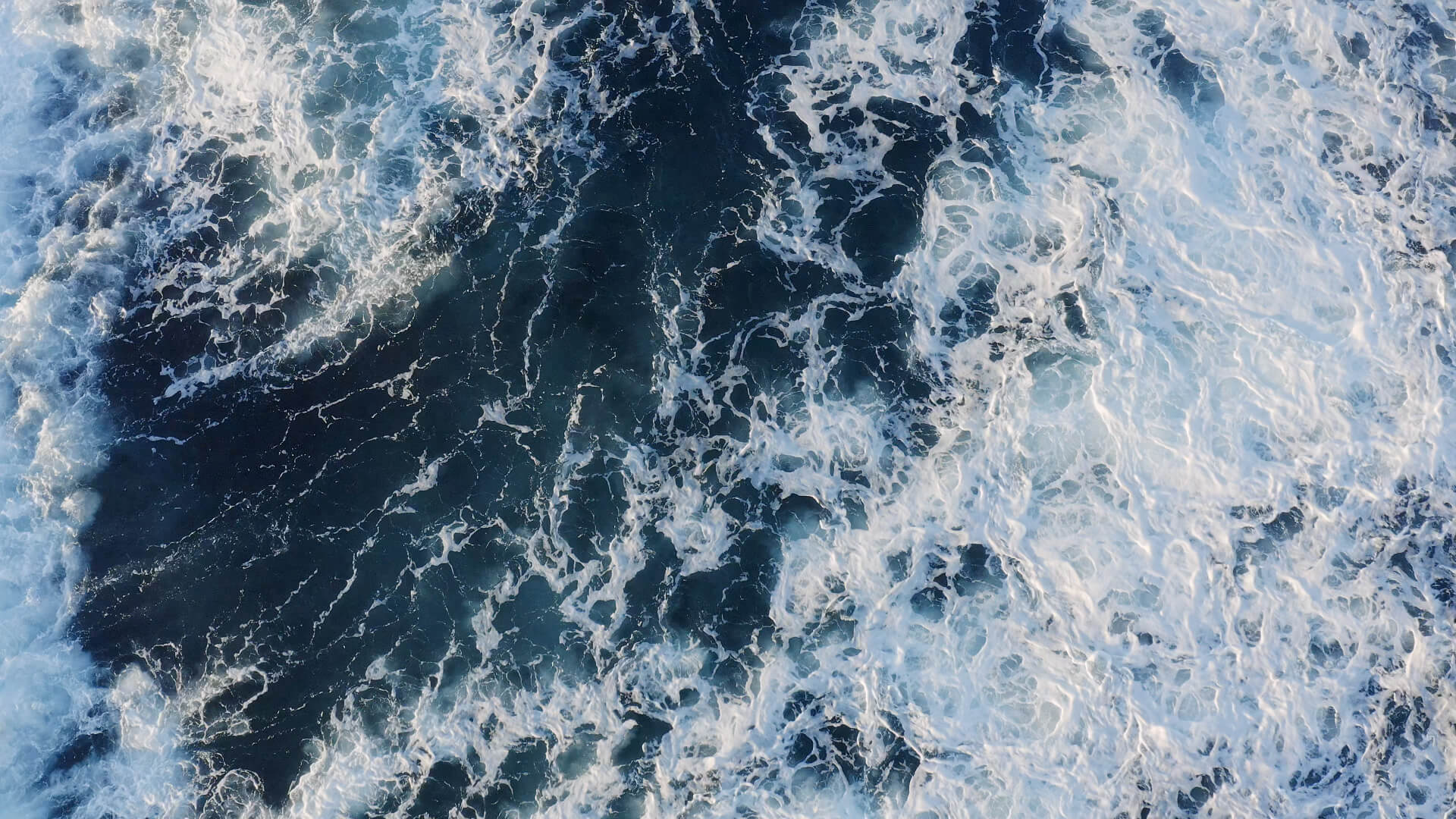 Seefracht: Flexibel & sicher in die Welt – RedLine